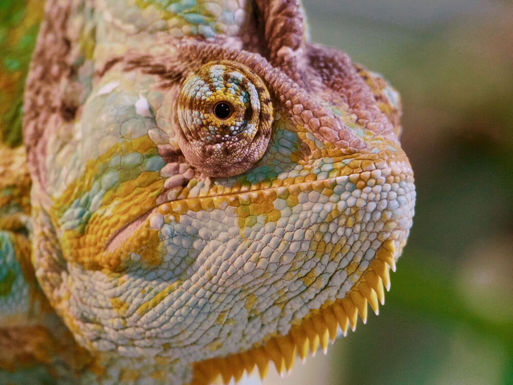 Paprastumas. Pokytis